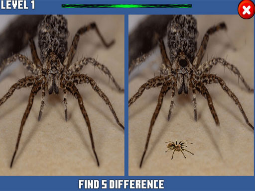 Spider Hidden Difference - Play Free Game Online at MixFreeGames.com